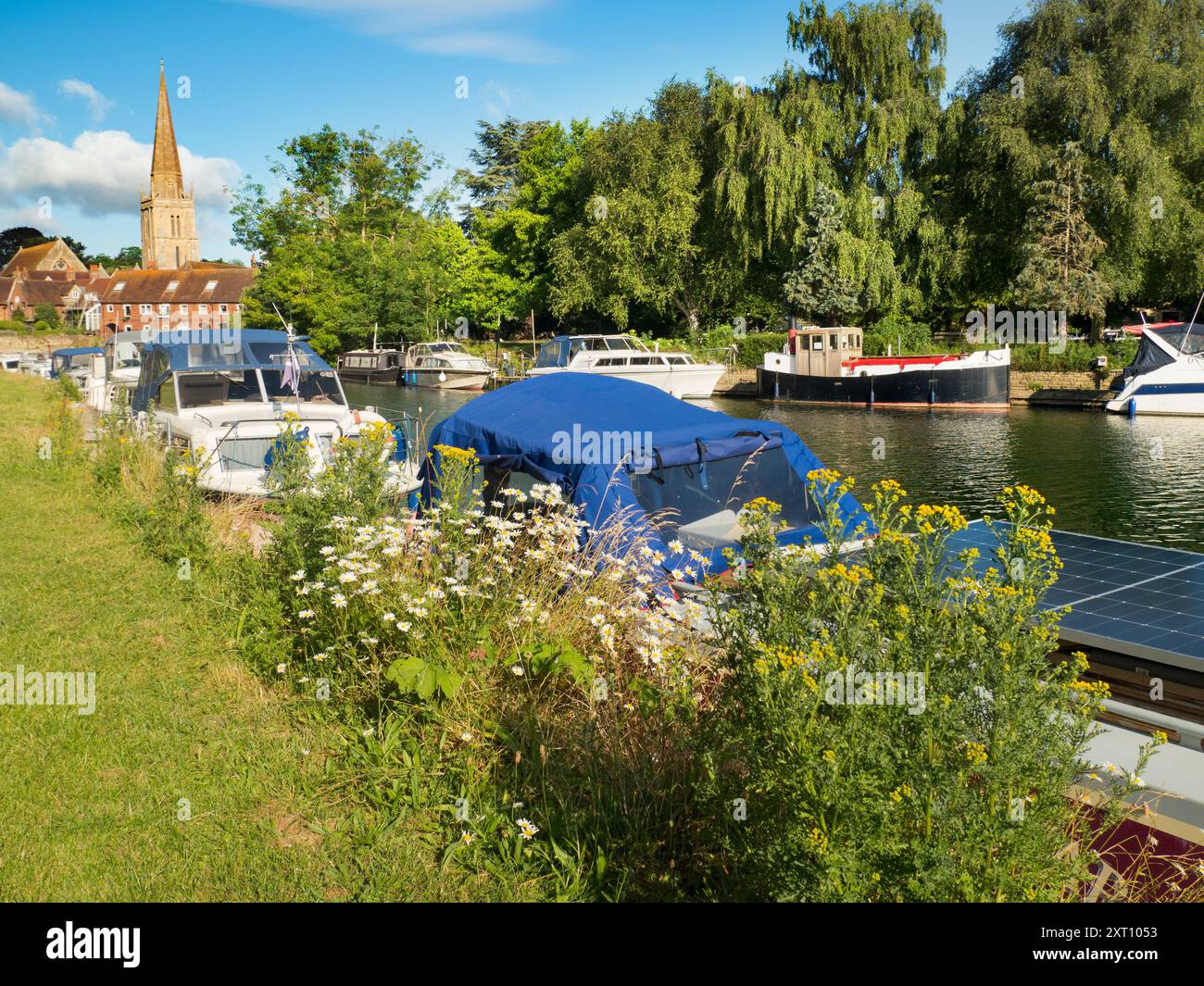 A fine view of the Thames at Abingdon on a glowing summer morning. We ...