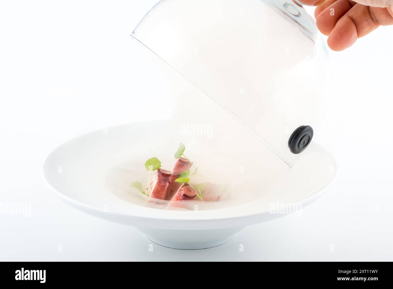 Hand lifting a transparent dome cover over a gourmet dish, revealing ...