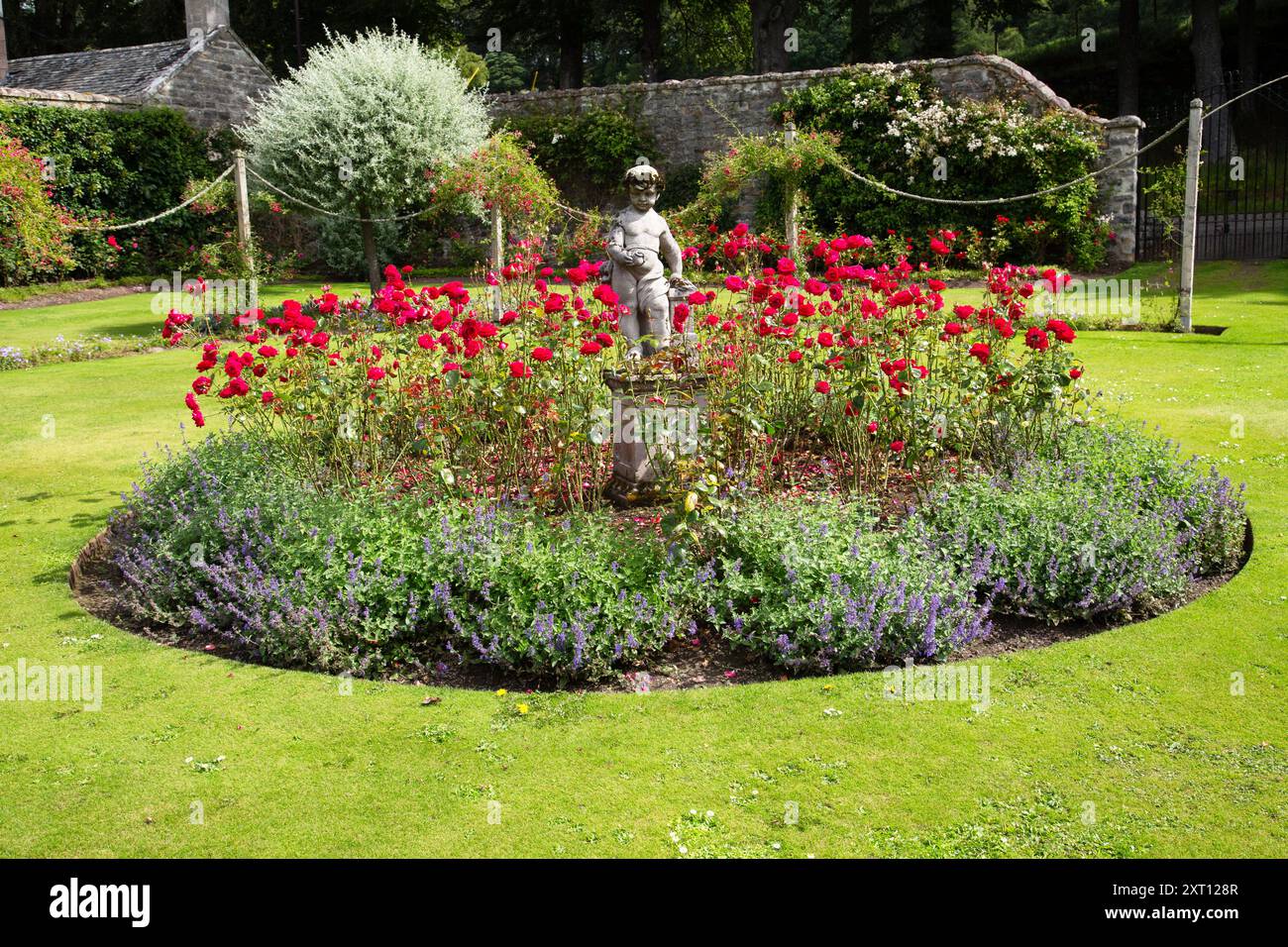 Cherub flowers hi-res stock photography and images - Alamy