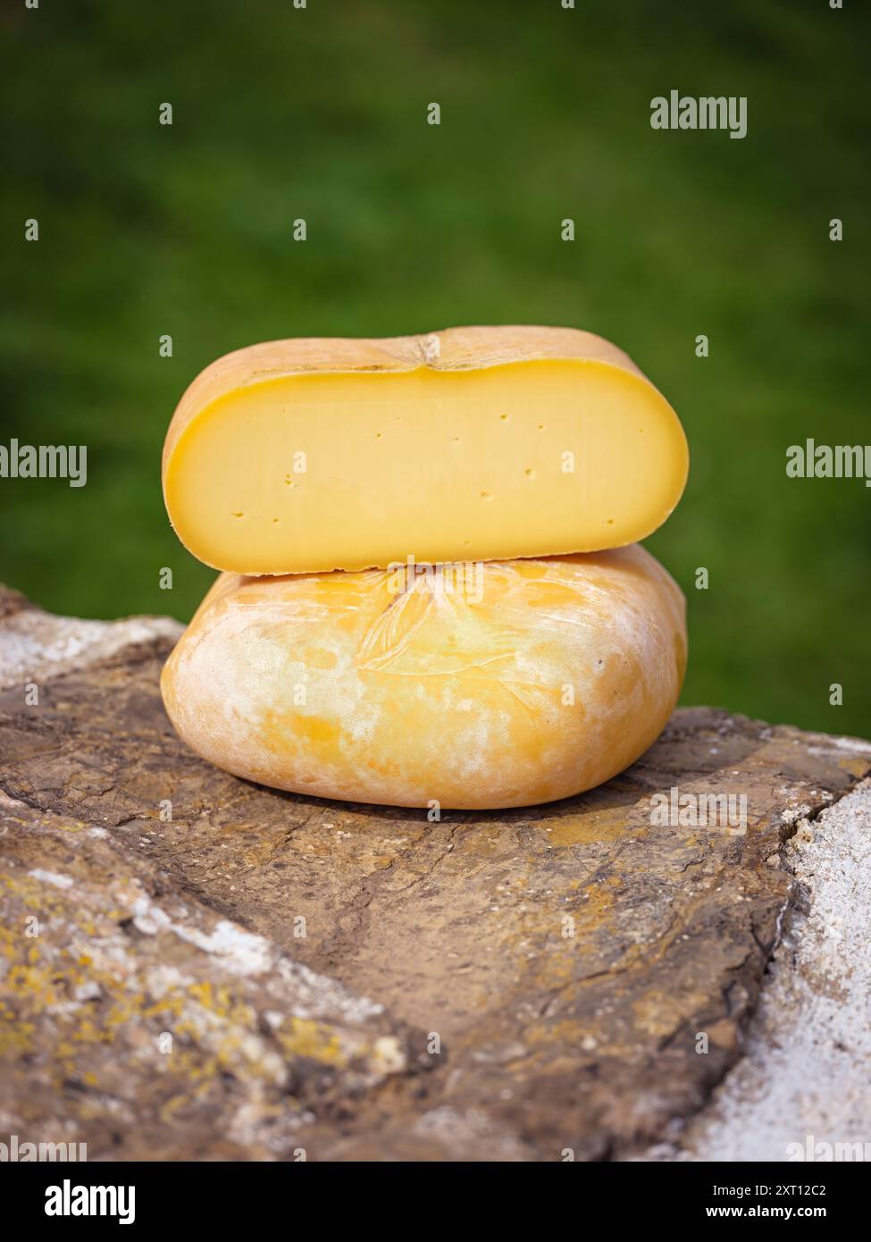 A freshly cut Mahon-Menorca cheese, revealing its smooth, creamy ...