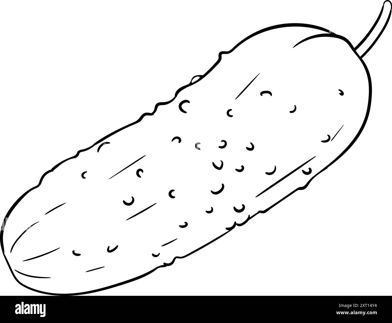 Cucumber Vegetable Isolated Outline Illustration Stock Vector Image ...