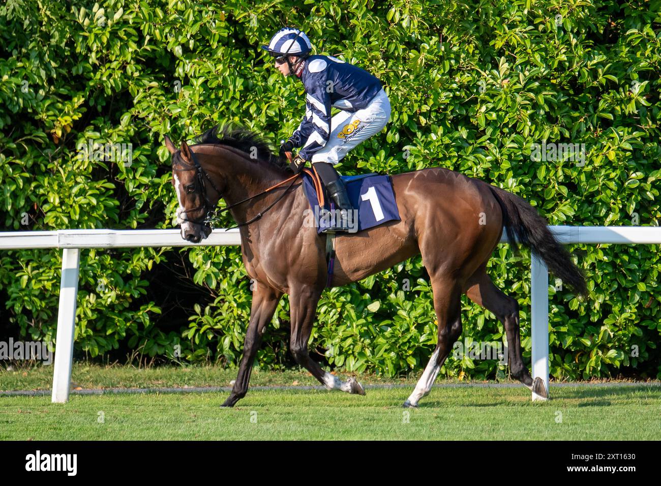 Mr c r hi-res stock photography and images - Alamy