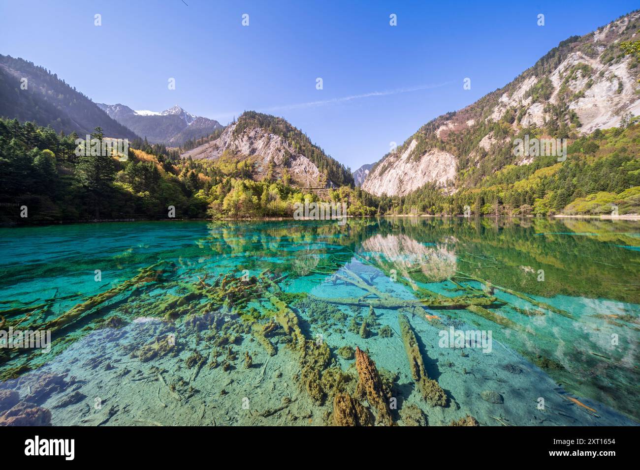Five Flower Lake in Jiuzhai Valley National Park, Sichuan, China Stock ...