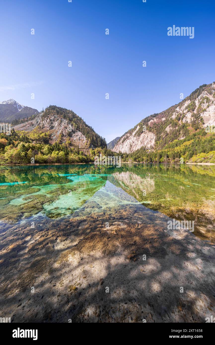 Five Flower Lake in Jiuzhai Valley National Park, Sichuan, China Stock ...