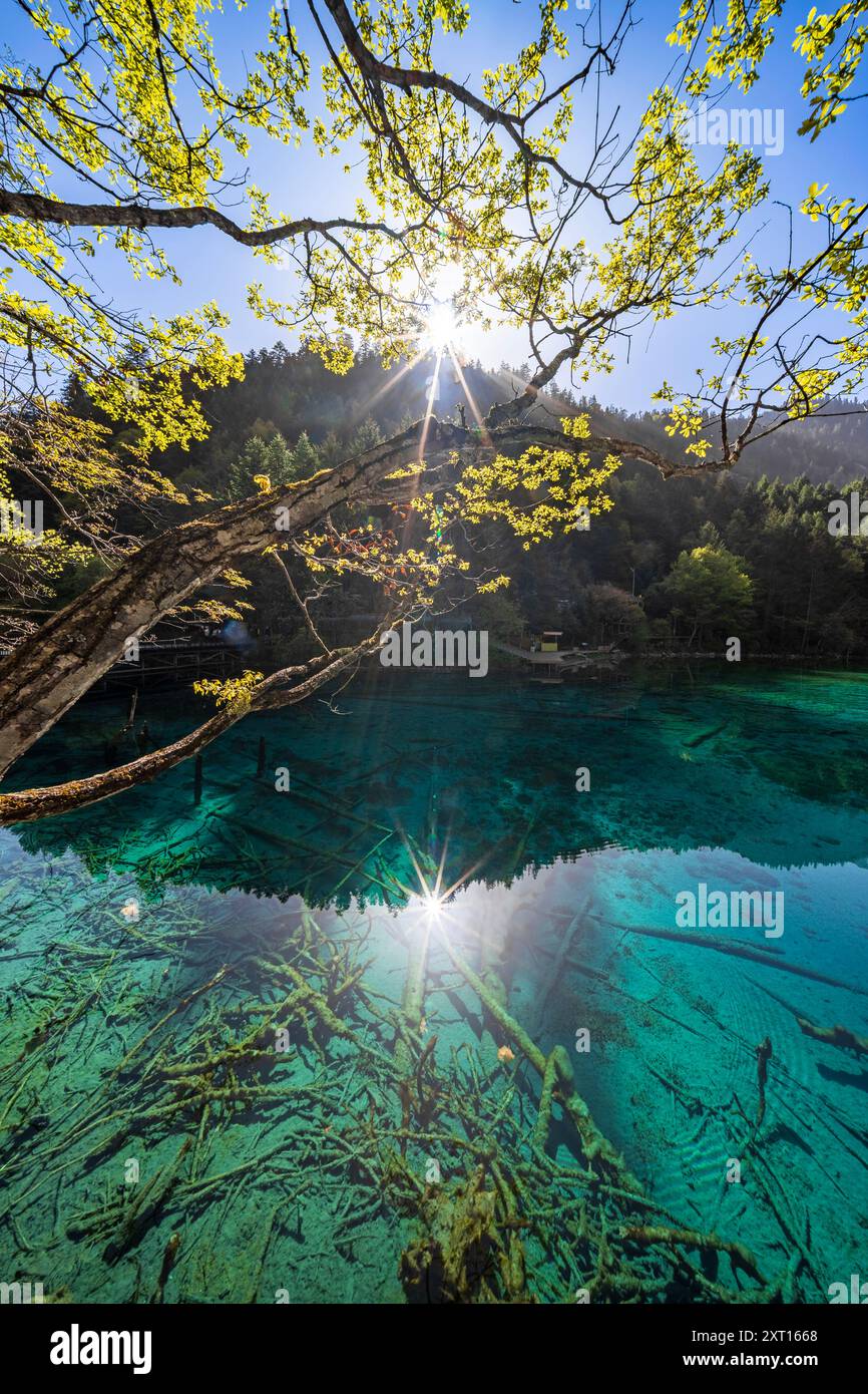 Five Flower Lake in Jiuzhai Valley National Park, Sichuan, China Stock ...