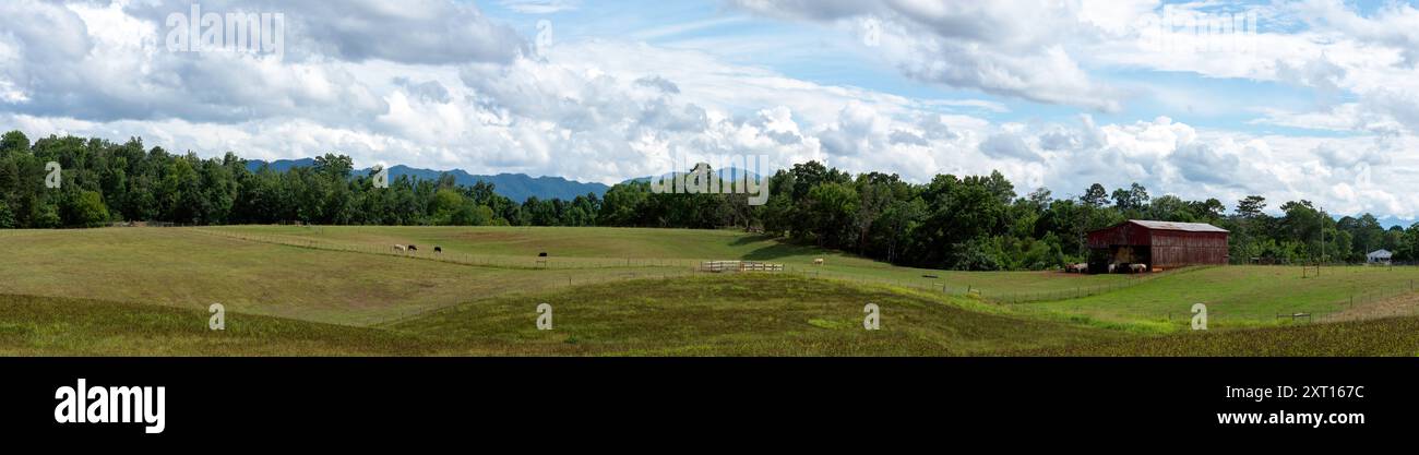 Panoramic banner of an agricultural landscape of a cattle farm in the ...