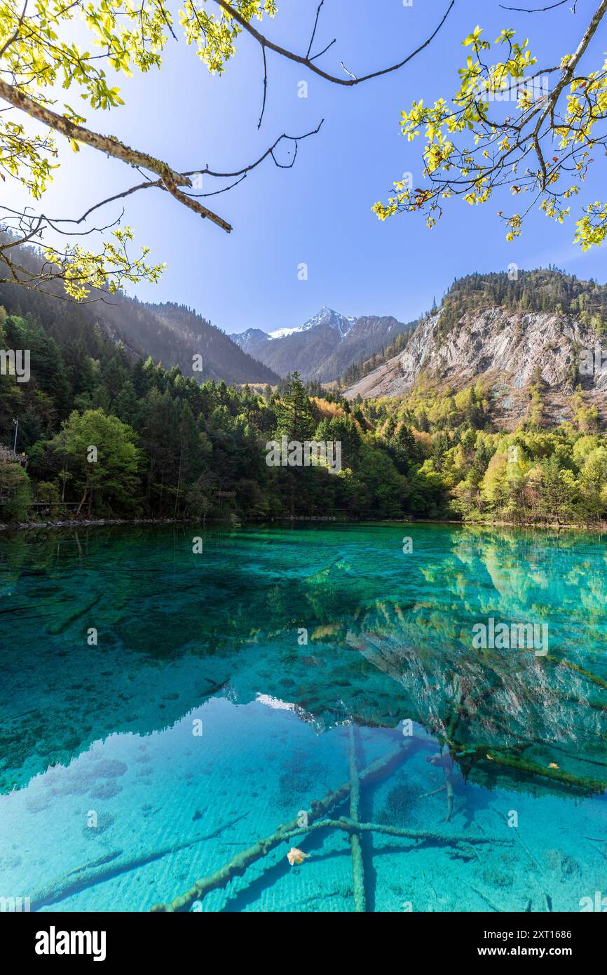 Five Flower Lake in Jiuzhai Valley National Park, Sichuan, China Stock ...