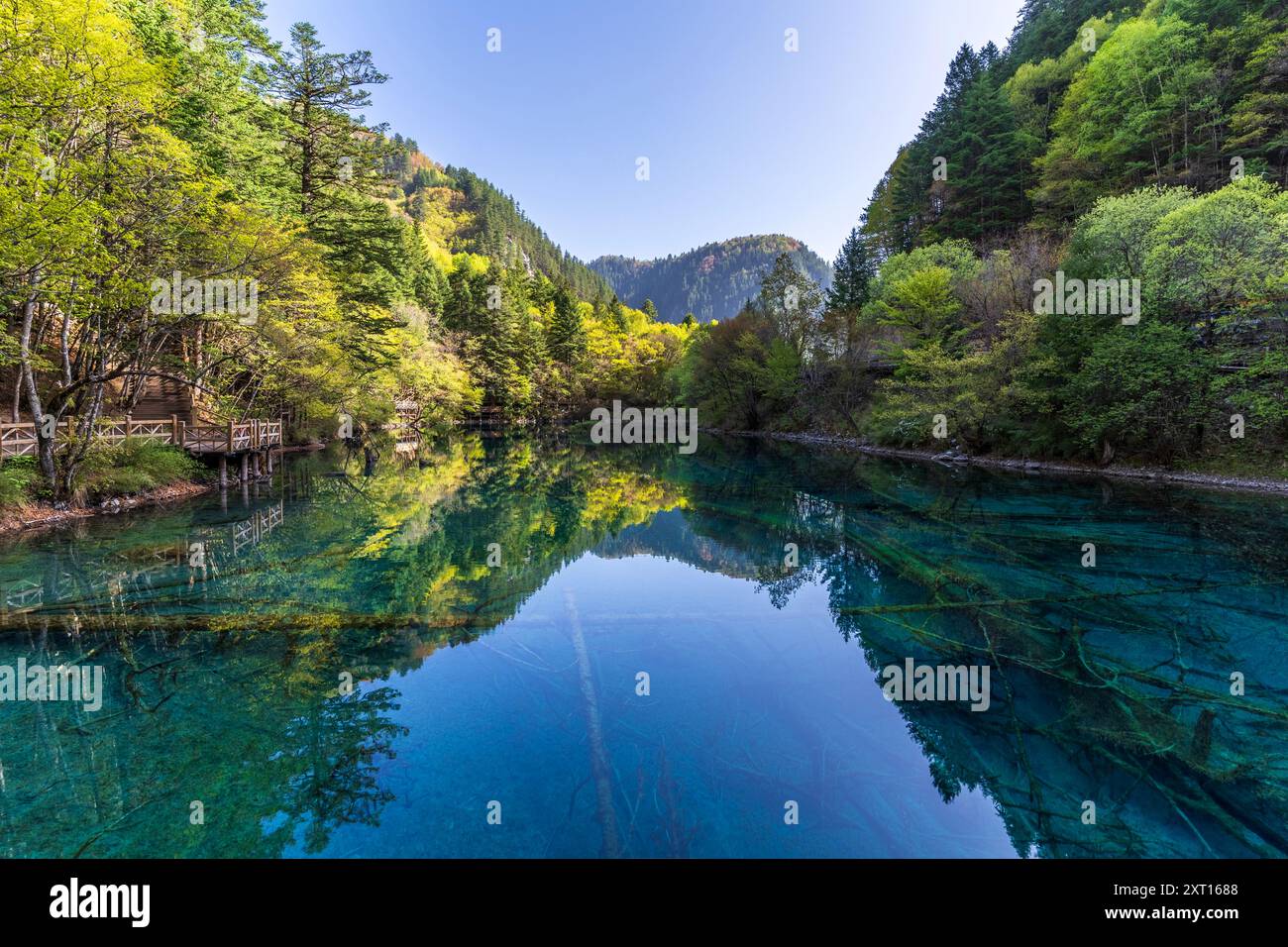 Five Flower Lake in Jiuzhai Valley National Park, Sichuan, China Stock ...