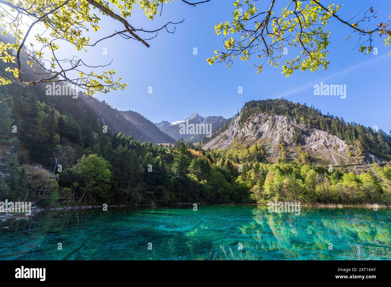 Five Flower Lake in Jiuzhai Valley National Park, Sichuan, China Stock ...
