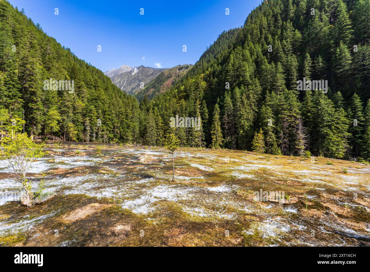 Pearl Shoal Waterfall in Jiuzhai Valley National Park, China Stock ...