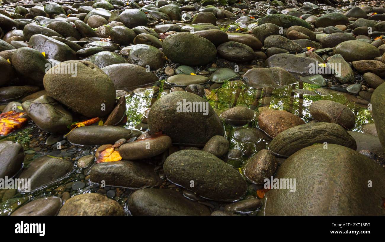 Nature background of rounded river rocks in an Appalachian creekbed ...