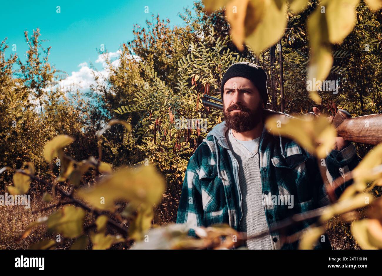 Hunter with shotgun gun on hunt. Hunting Licenses. Hunter in the fall ...