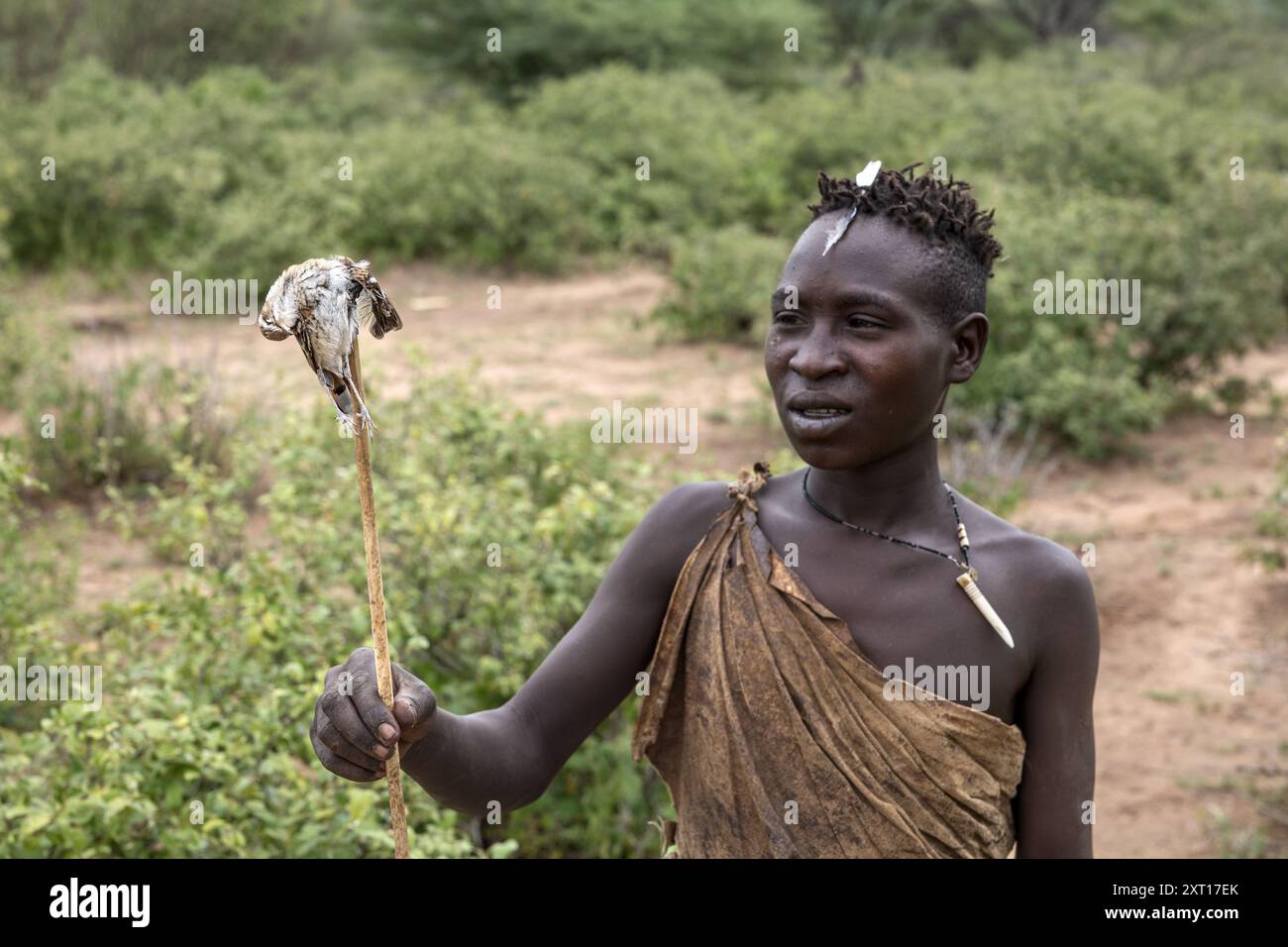 The hunt, the prey, Hadzabe tribe, hunter-gatherers, Tanzania Stock ...