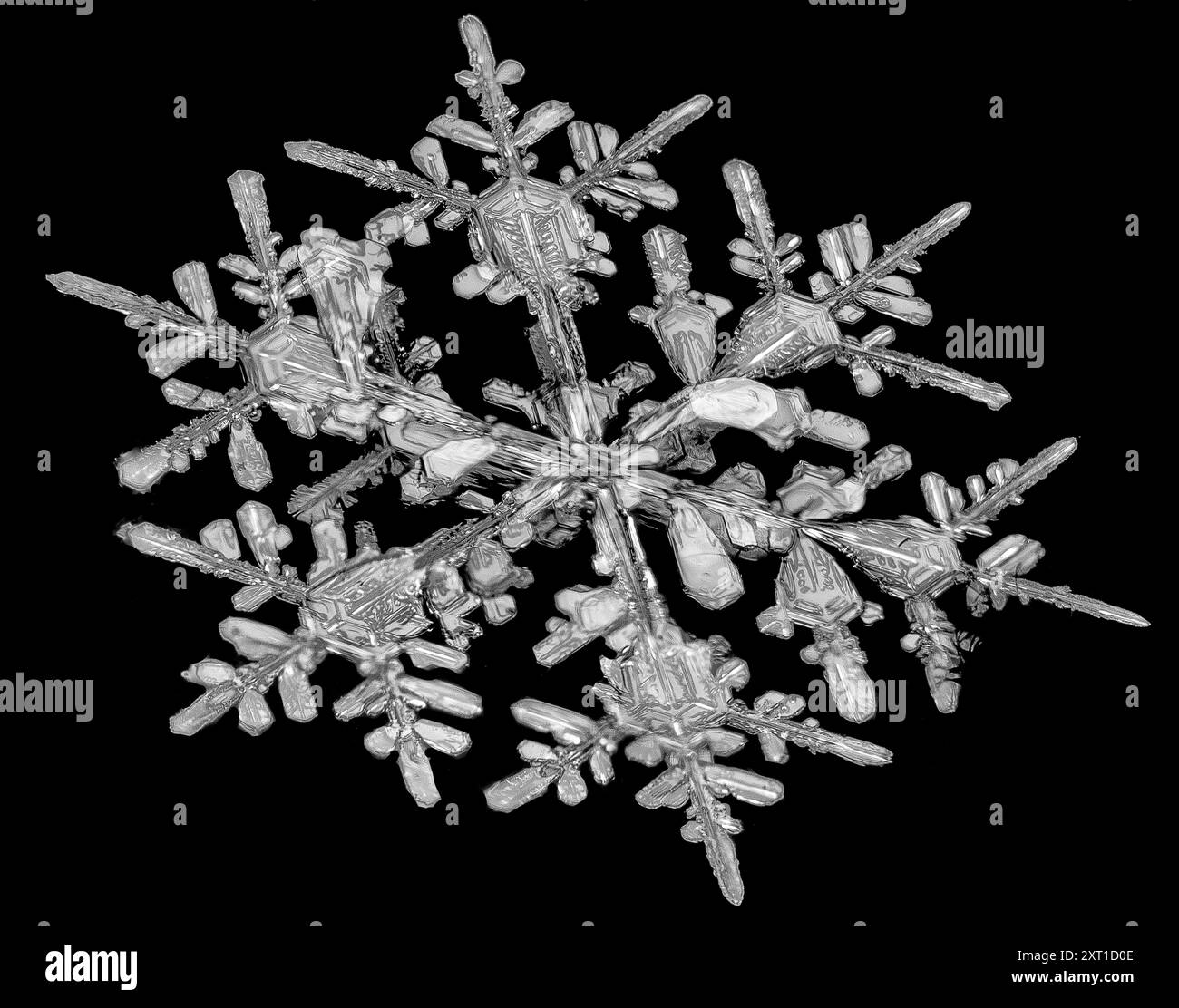 Intricate snowflake crystal photographed against a black background ...
