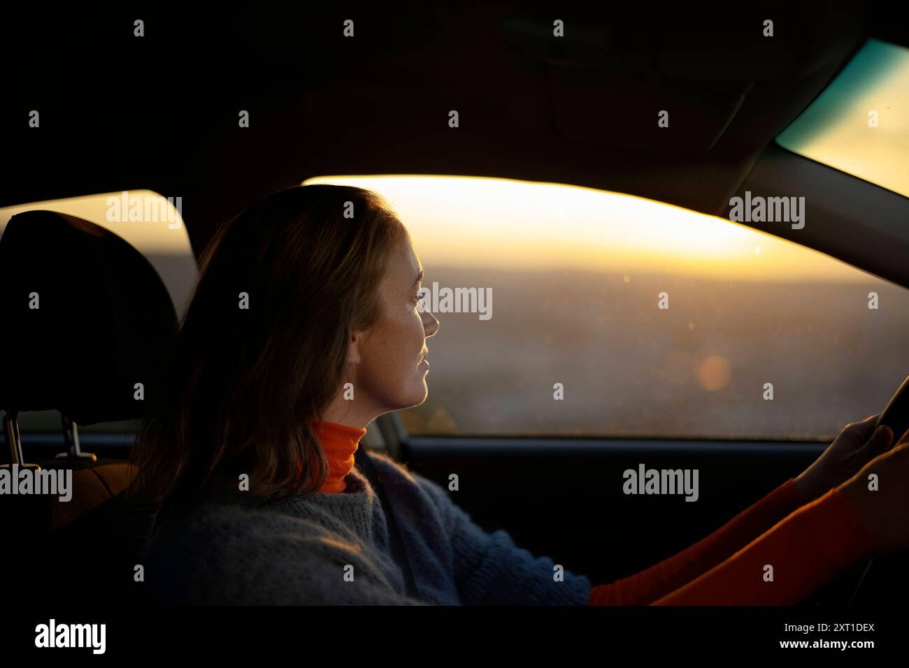 Sunlight highlighting profile hi-res stock photography and images - Alamy