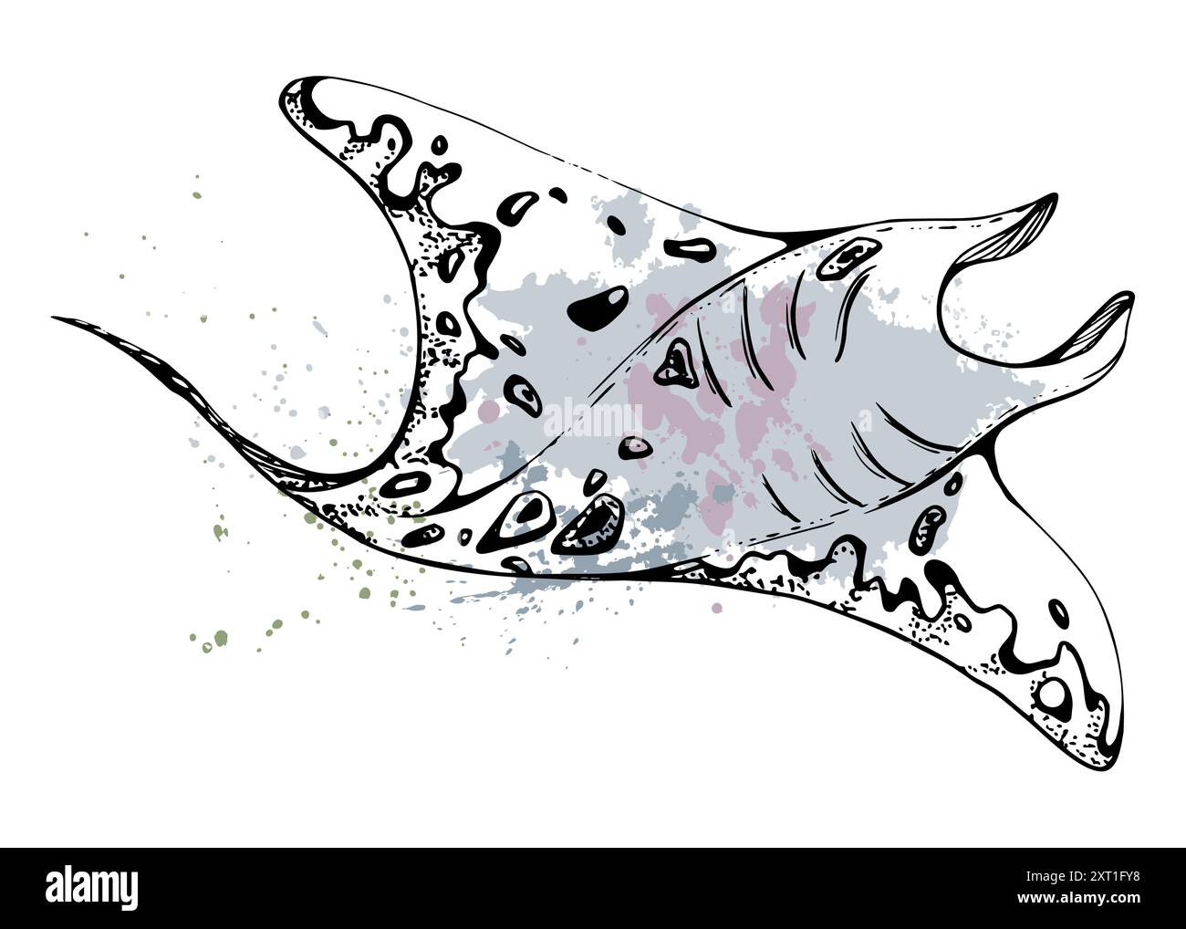 Stingray manta ray fish splash stain Marine life, ocean underwater ...