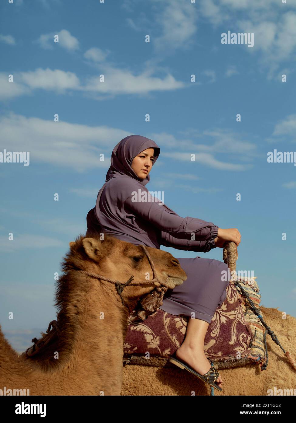 Woman in a hijab riding a camel under a clear blue sky. bola02580 ...