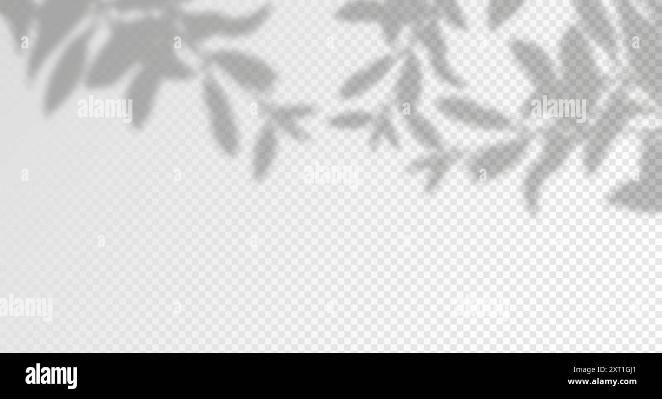 Sun's rays tree Stock Vector Images - Alamy