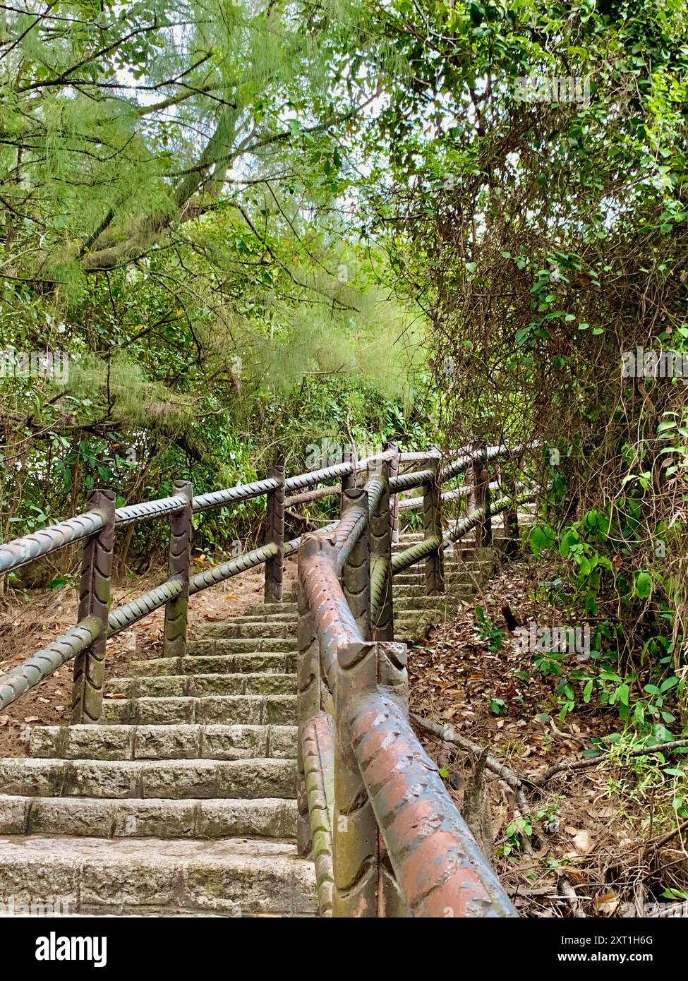 Stone staircase with rustic railings leading through dense green ...