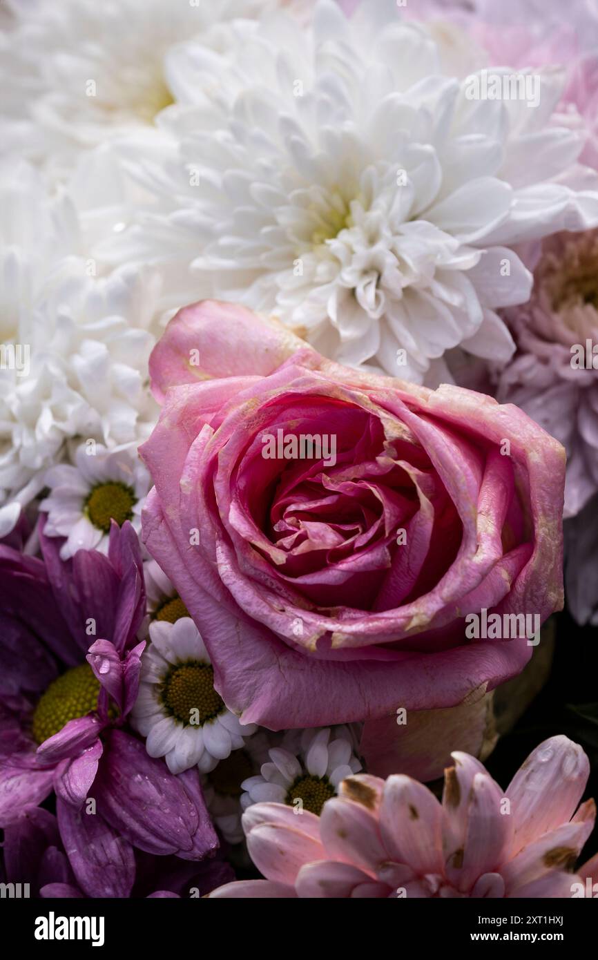 A close up closeup of a bouquet of old decaying flowers in the UK Stock ...