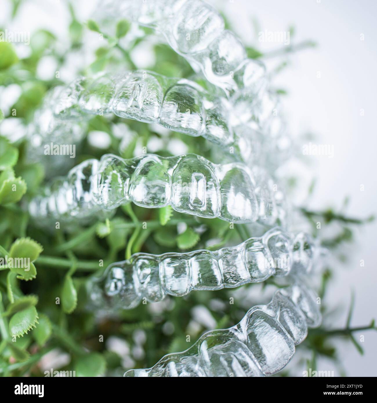 Plastic braces dentistry retainers for teeth straightening hanging on ...