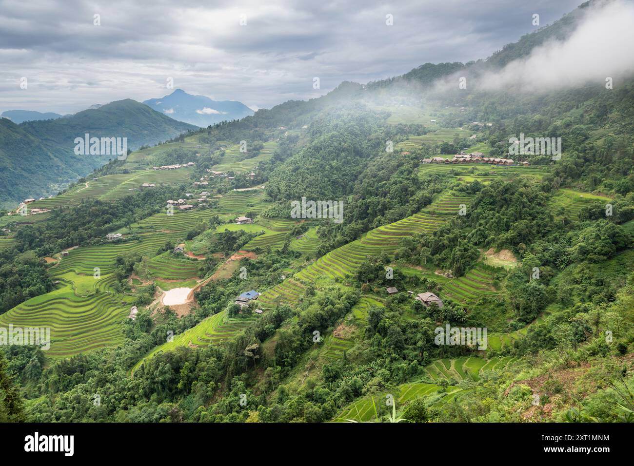 Beautiful green rice terraces in the Hoang Su Phi district of Ha Giang ...