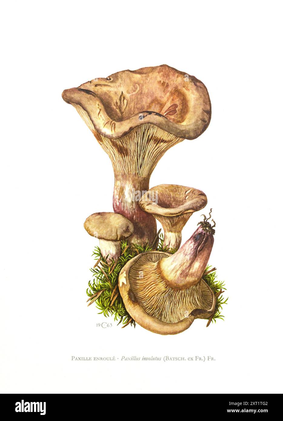 Illustration by Claus Caspari from the "Collection de Documents d ...
