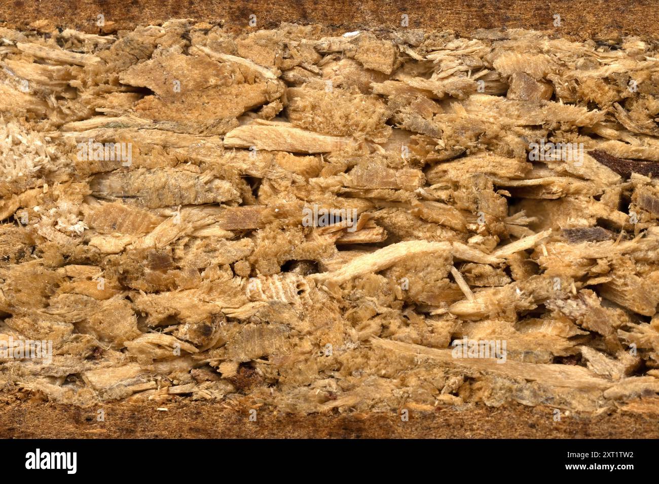 texture Structure of pressed wood chipboard made of shavings and ...