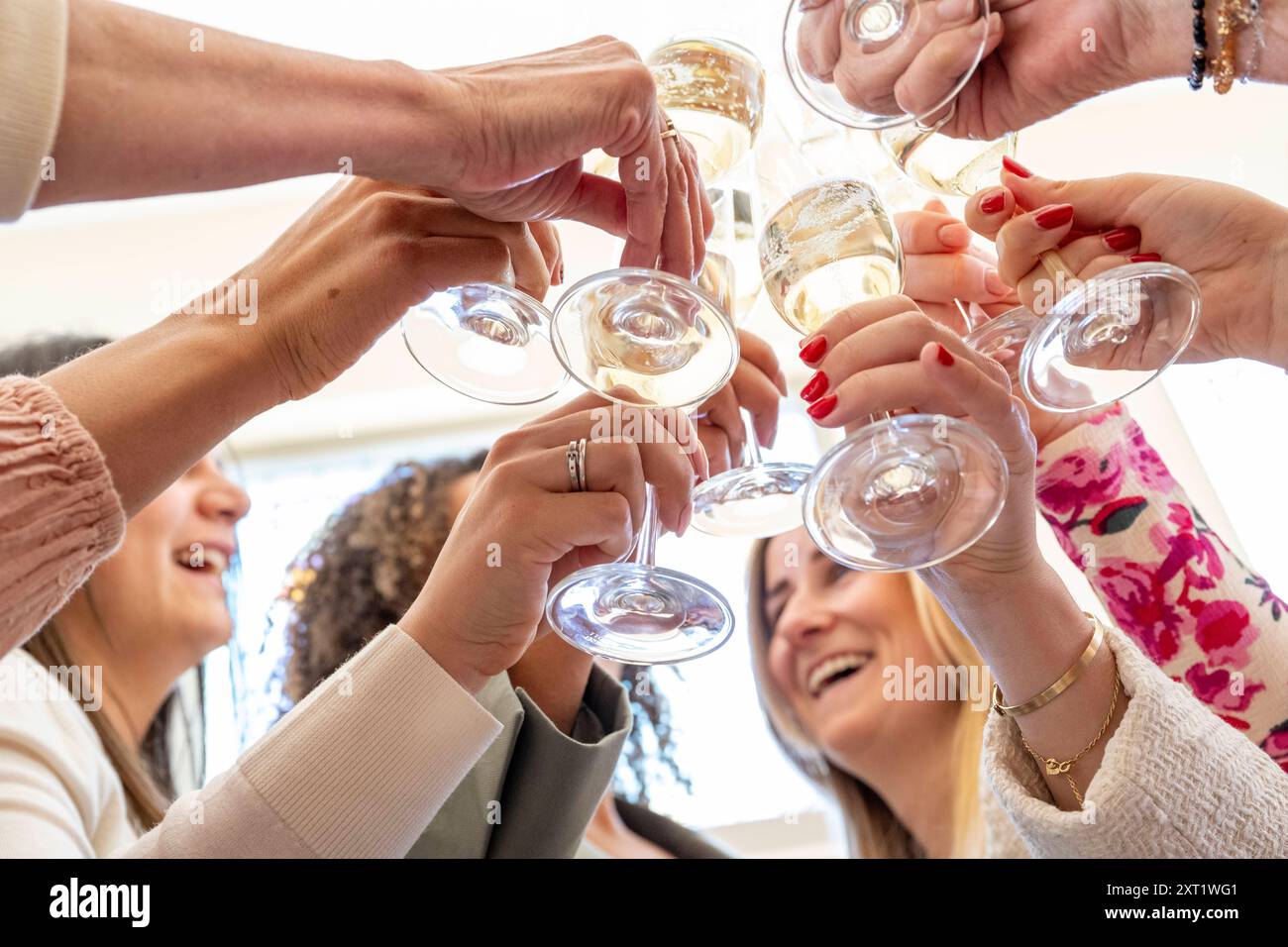 Group of people celebrating with a champagne toast, clinking glasses ...