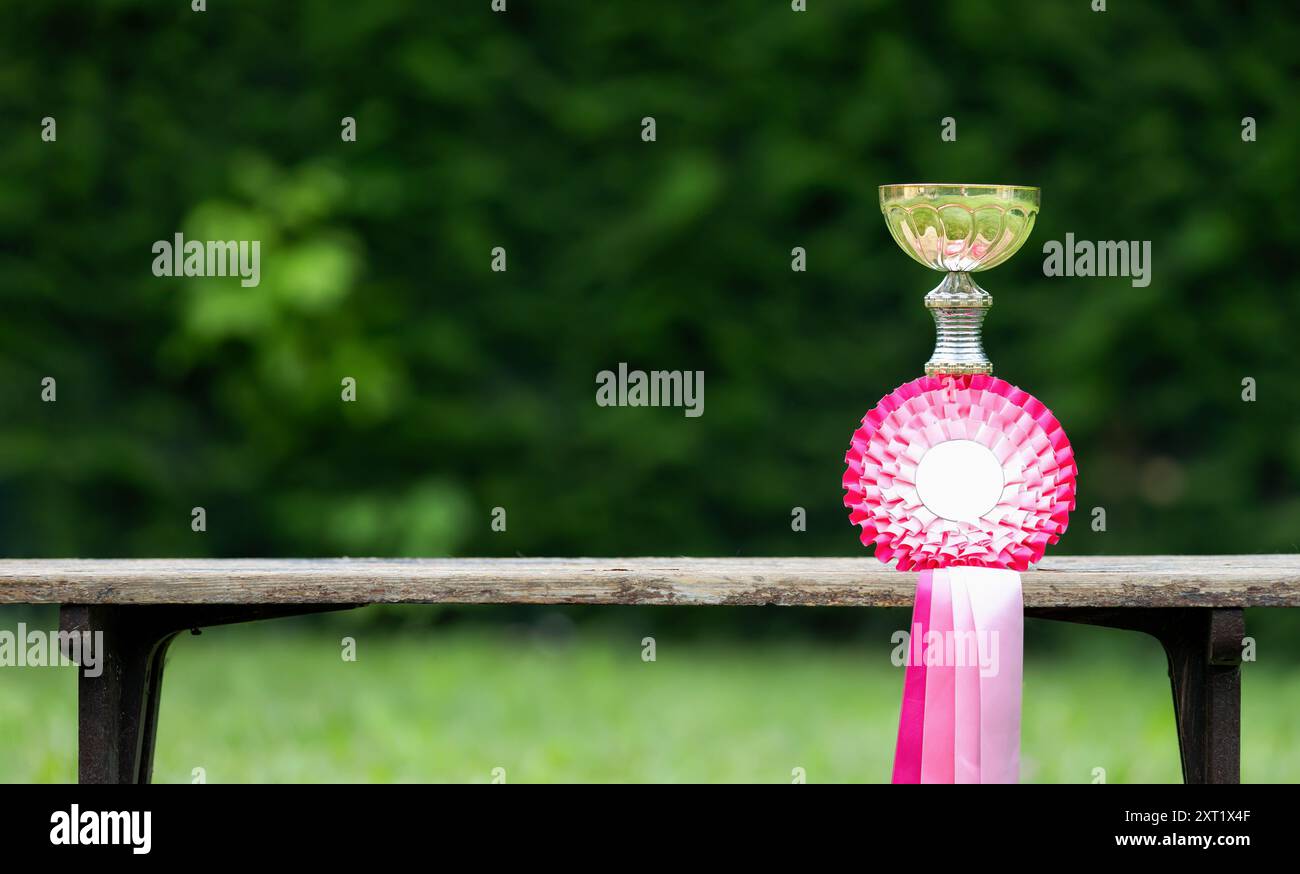 Winner trophy and ribbon, successful competition, winning background ...