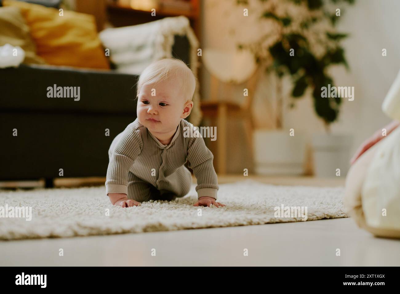 Crawling Baby on Carpet Exploring Living Room Surface Stock Photo - Alamy