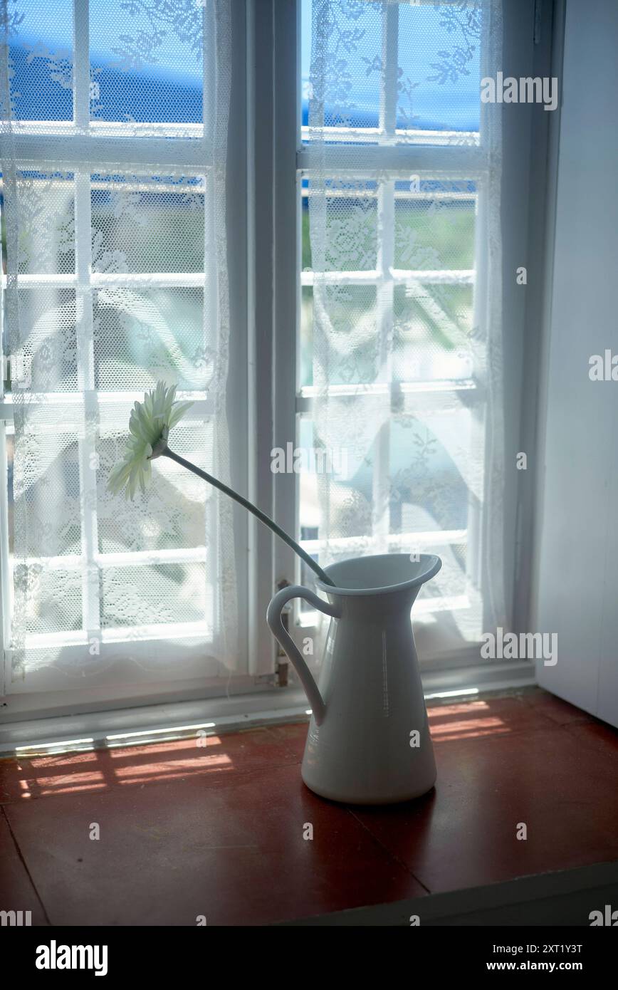 Sunlight pours through a window adorned with blue lace curtains ...