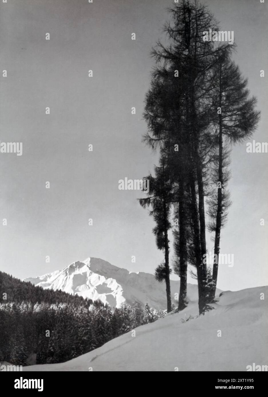 The photograph depicts the snow-covered mountains and trees of the ...