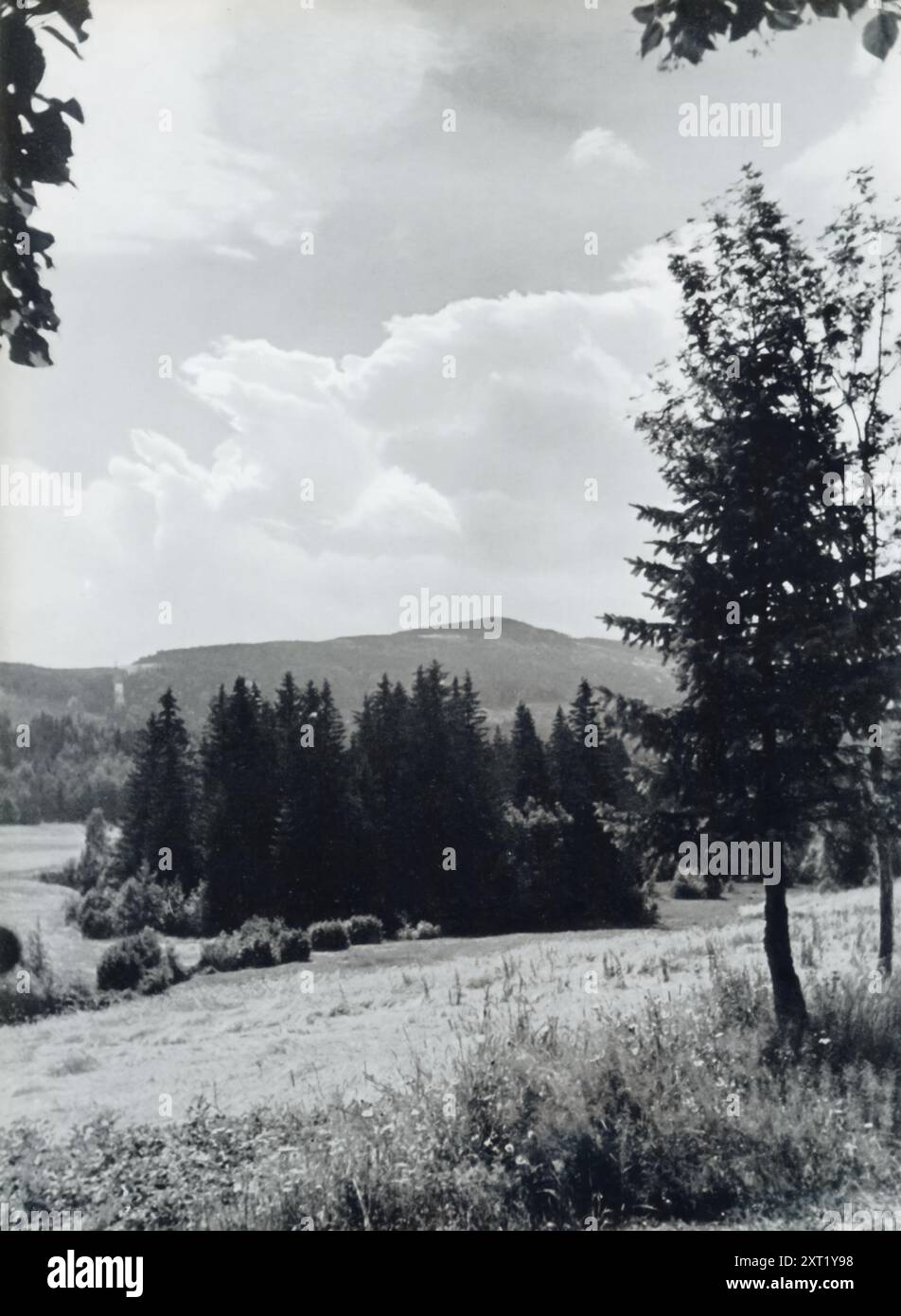 The photograph shows the Falkenberge in Silesia, part of the German ...