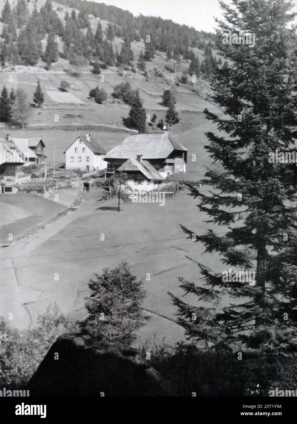 This photograph showcases traditional farmhouses in the Black Forest ...