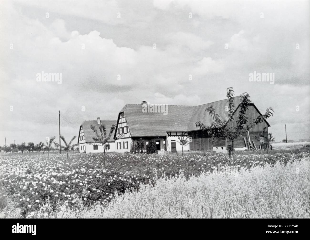 Nazi rural policy hi-res stock photography and images - Alamy