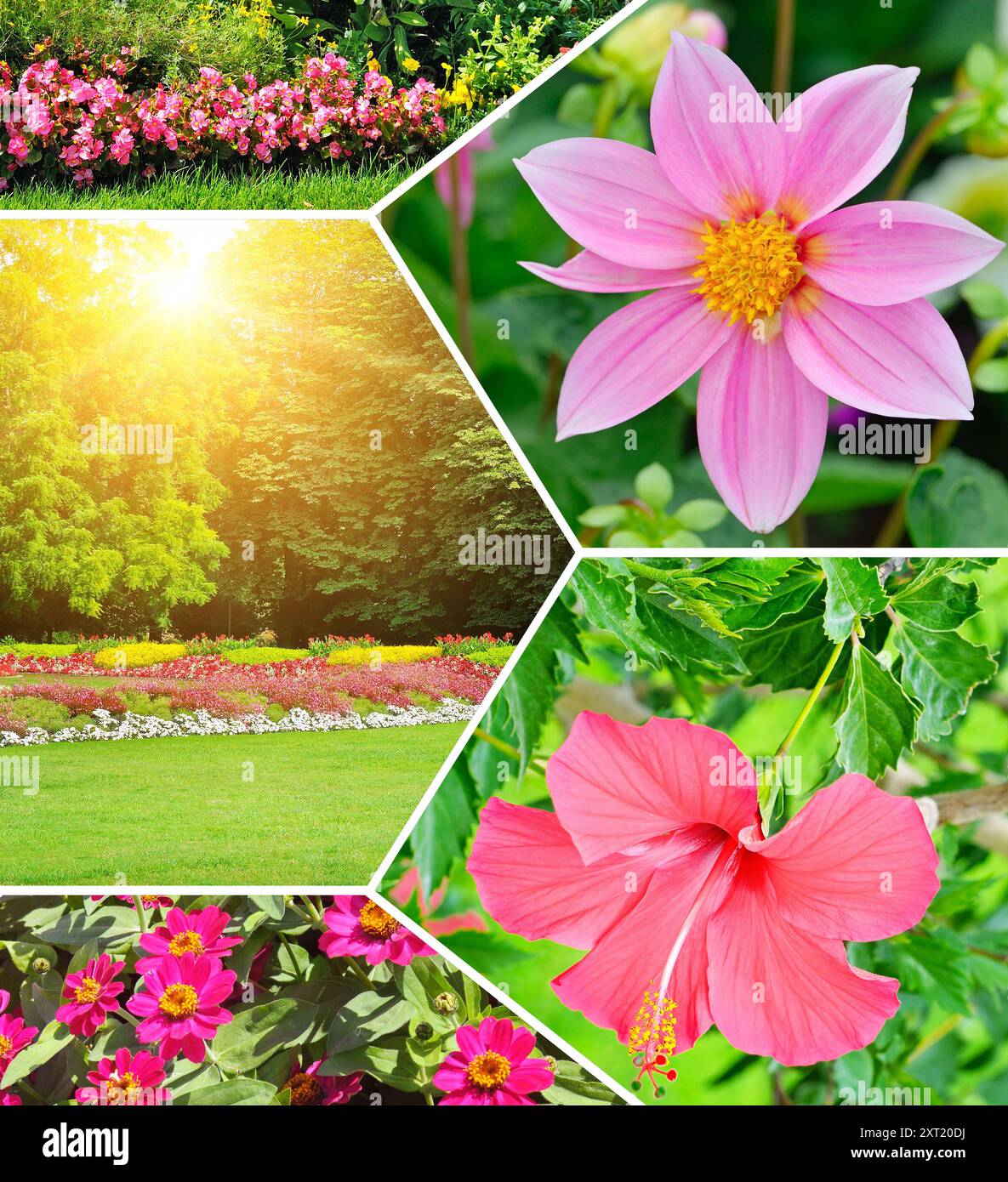 Collage of flowers hi-res stock photography and images - Alamy