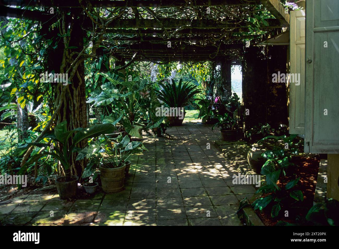 Terrace with potted plants at former home of landscape architect Bevis ...