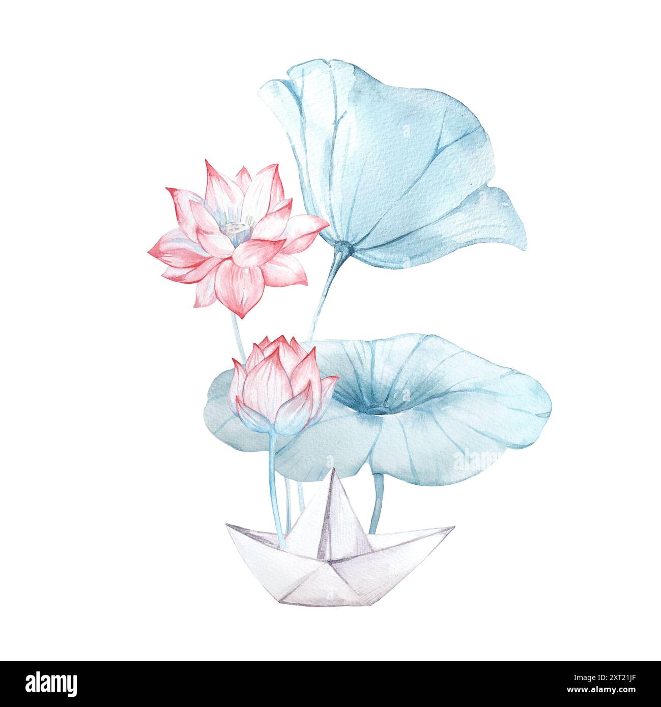 Lotus flowers illustration isolated on white background. Hand drawn ...