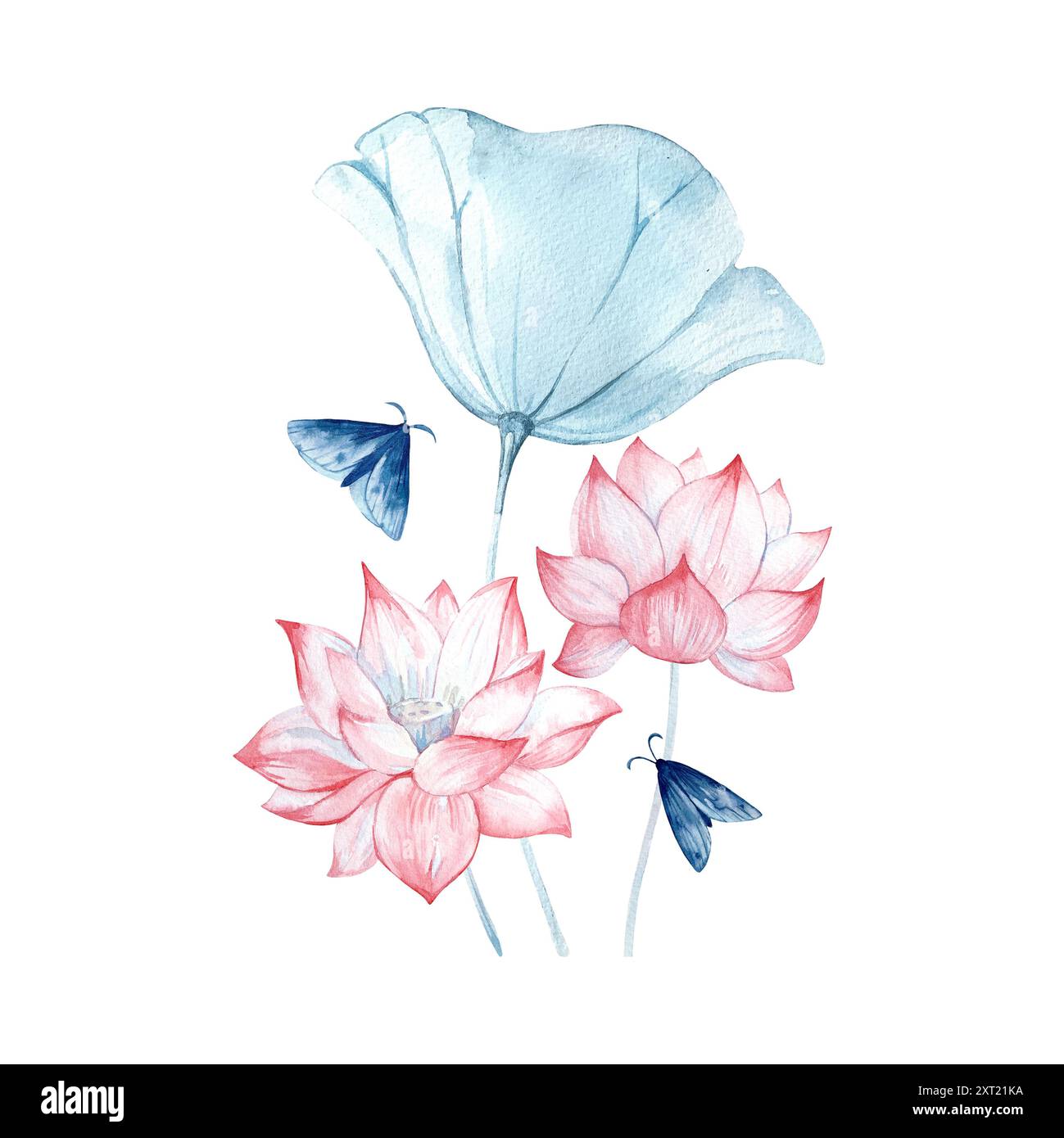 Lotus flowers illustration isolated on white background. Hand drawn ...
