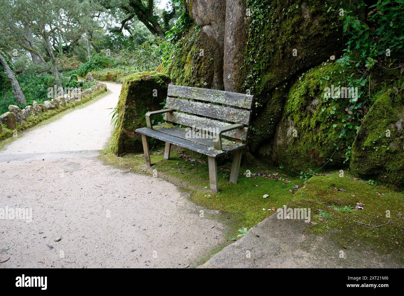Serene natural surroundings hi-res stock photography and images - Alamy