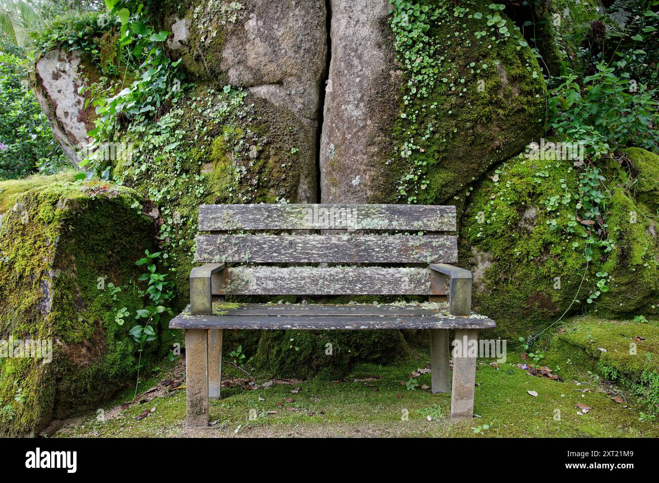 A weathered park bench in front of massive moss-covered rocks Stock ...
