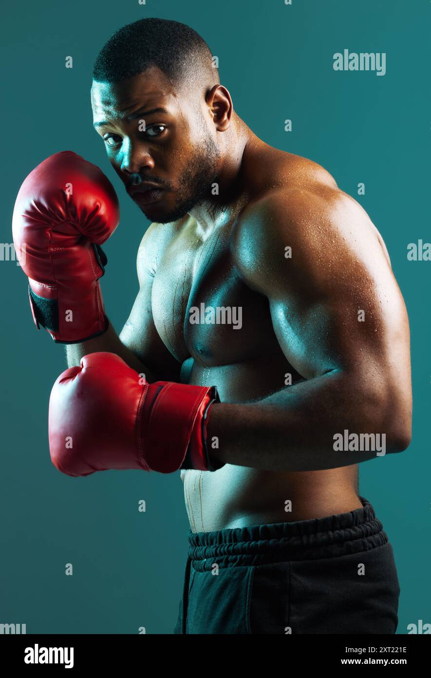 Black man, boxing and sport of portrait on studio background, power ...