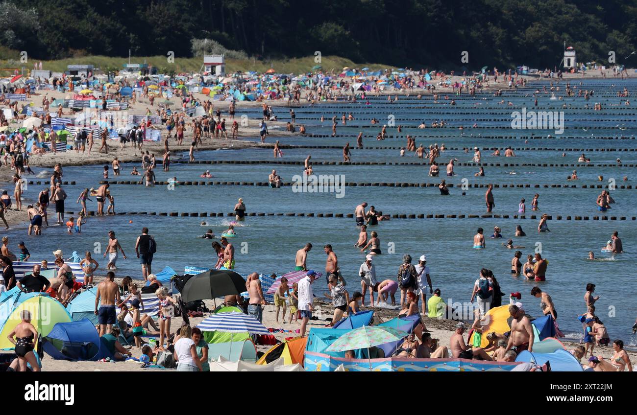13 August 2024, Mecklenburg-Western Pomerania, Warnemünde: Swimmers ...