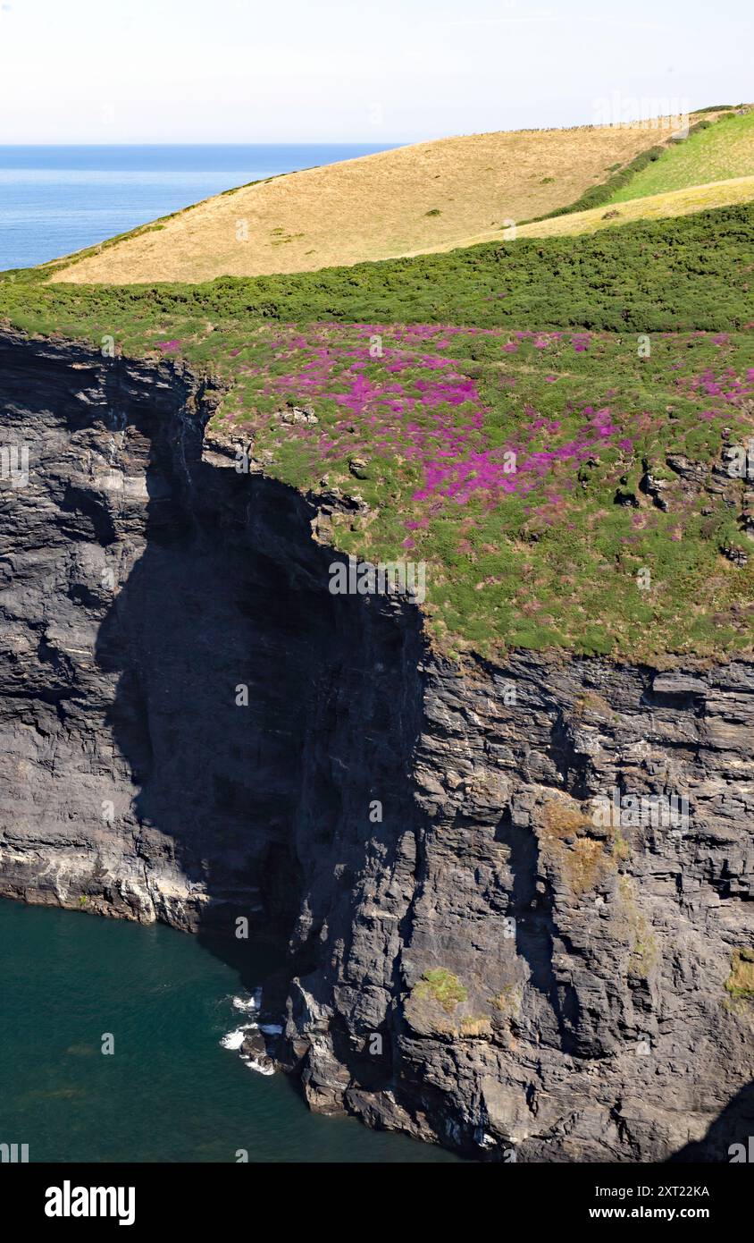 Section cove hi-res stock photography and images - Alamy