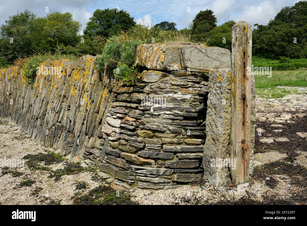 Rustic rough stone built wall with yellow mustard powder lichen and ...