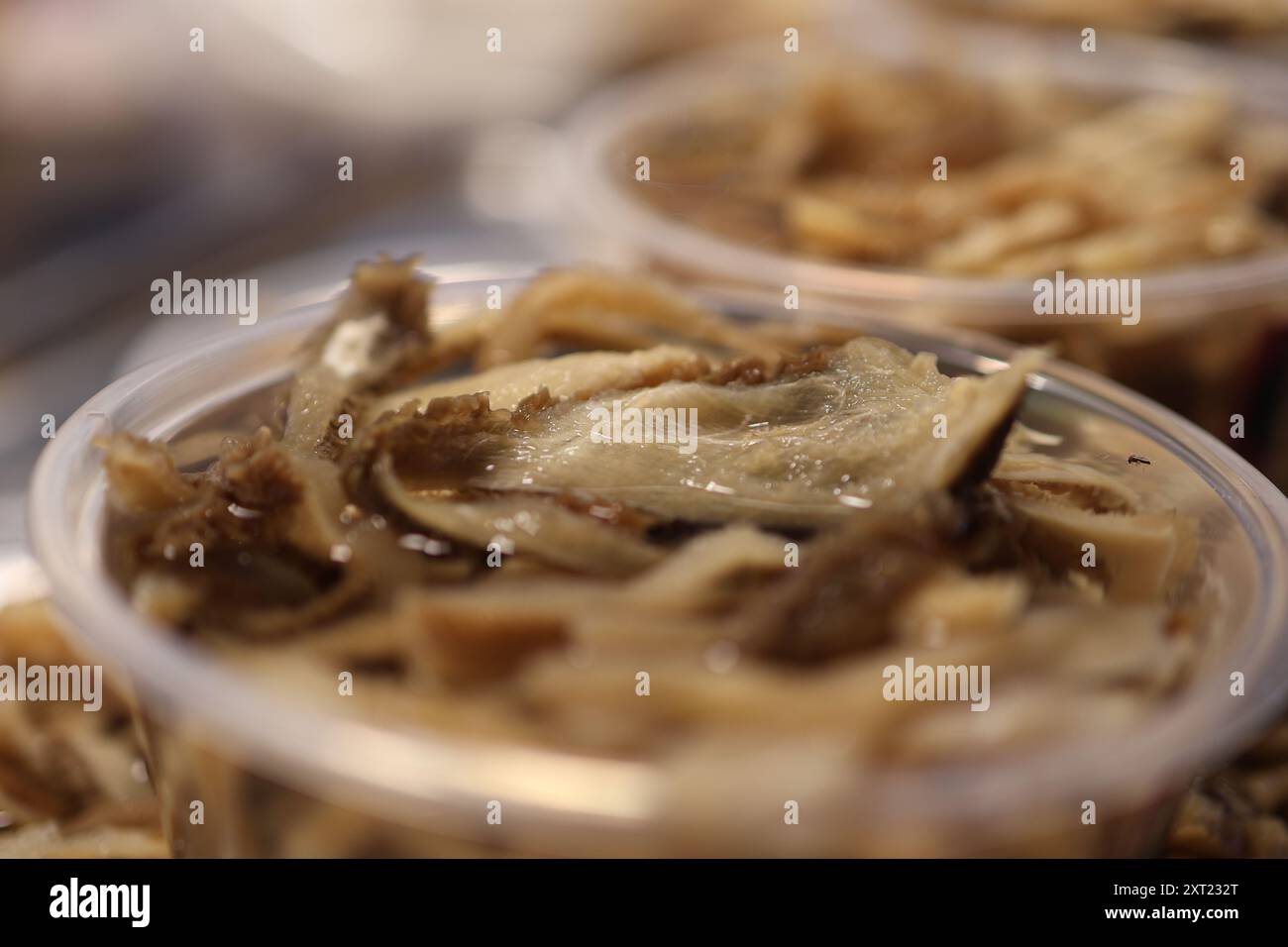 Asian Street Food dishes in a Chinese Night Market Stock Photo - Alamy