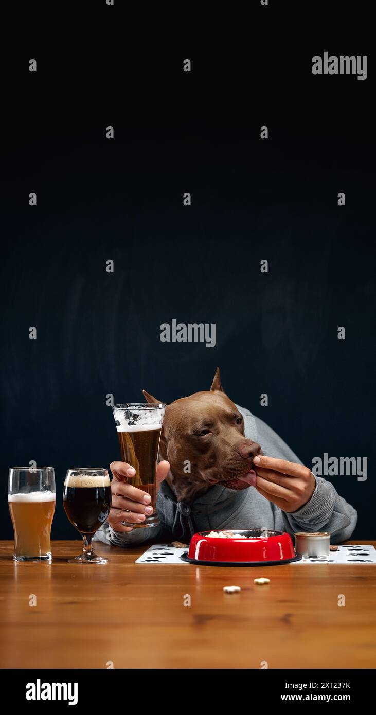 Brown pit bull human body hi-res stock photography and images - Alamy