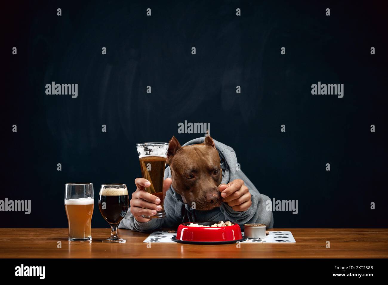 Brown pit bull with human body element wearing gray hoodie, sitting at ...