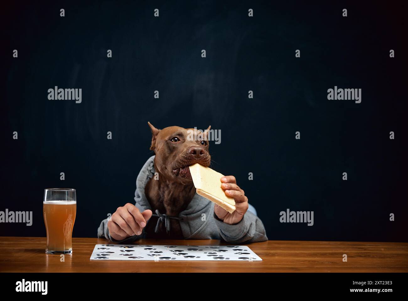 Brown pit bull human body hi-res stock photography and images - Alamy